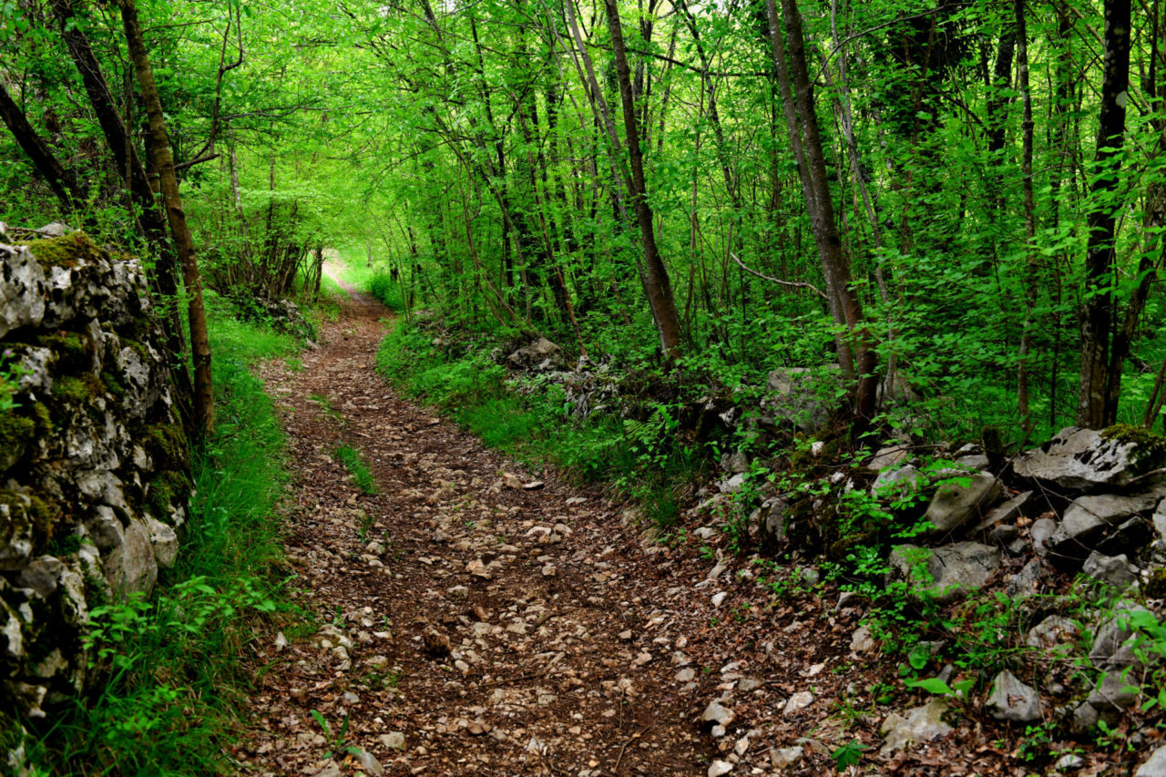 Trails – Rijeka Outdoor